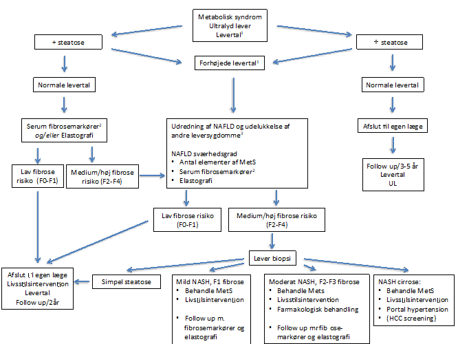 Non-alkoholisk fedtleversygdom (NAFLD): Diagnostik og behandling